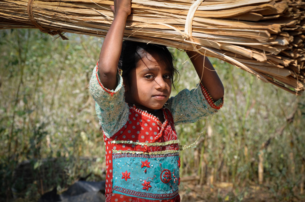 About | The EU Forced Labour Regulation | TDi Digital